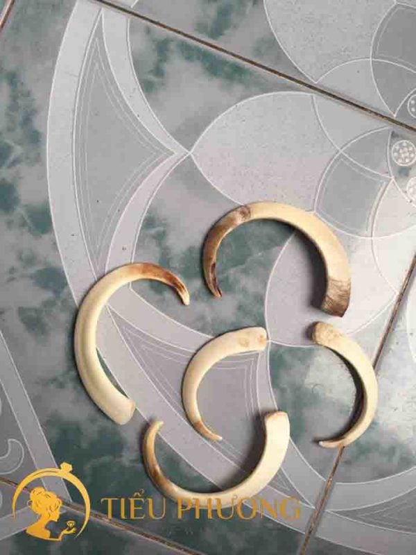 Chơi Nanh Heo Rừng như thế nào mới là biết chơi?